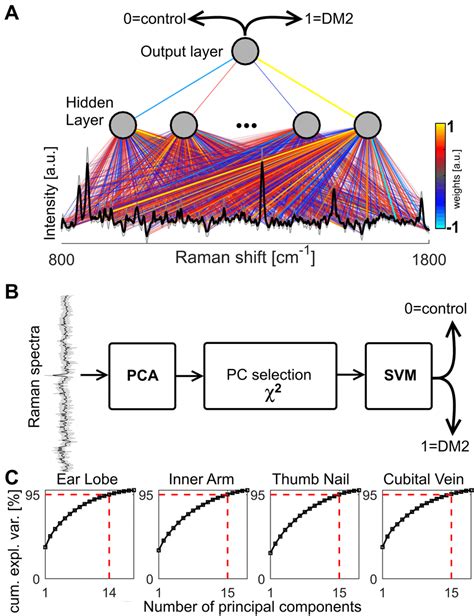 schematic diagrams of the supervised classifiers a