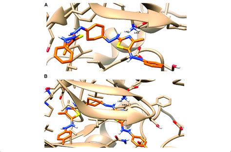 Binding Disposition And Interaction Analysis Of The Docked Compounds