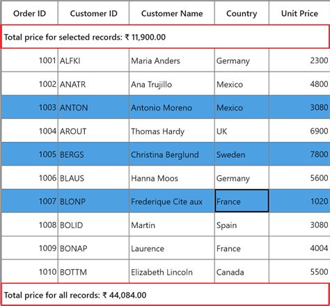 summaries in uwp datagrid control syncfusion