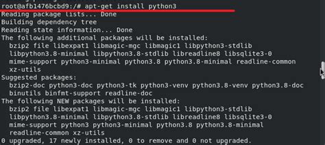 configuring d server on docker container and setting up python