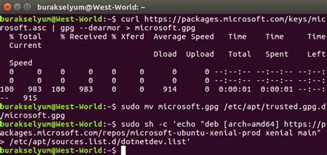 burak selim Şenyurt ubuntu da İlk core adımlarım