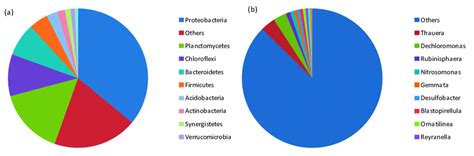 Microbial Community Structures In The Hydrolysis Reactor At Phylum