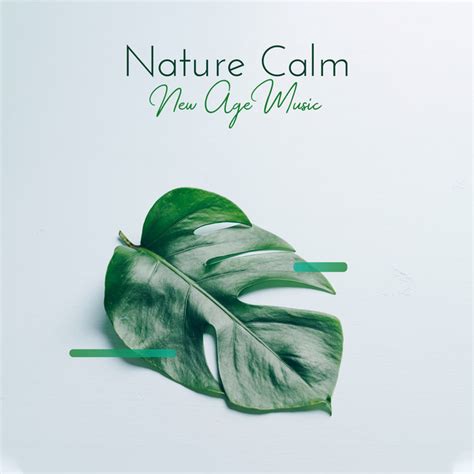Nature Calm New Age Music Compilation Of Songs For Total Relax
