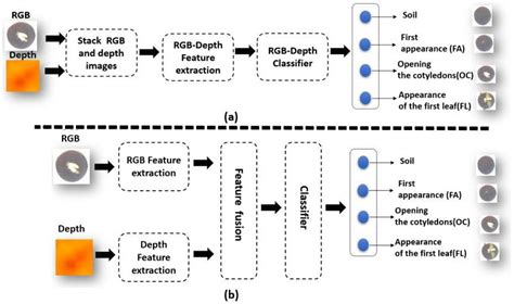 Sensors Free Full Text Enhancing The Tracking Of Seedling Growth