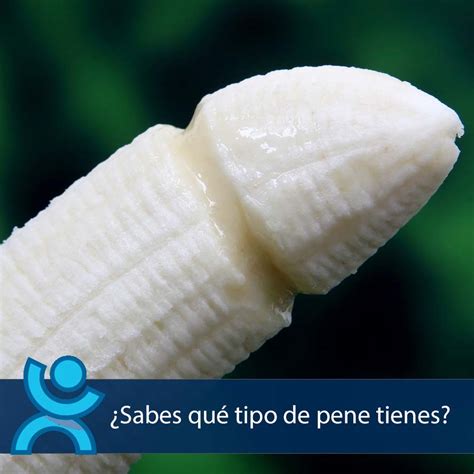 Introducir 56 Imagen Que Es Una Polla Abzlocal Mx