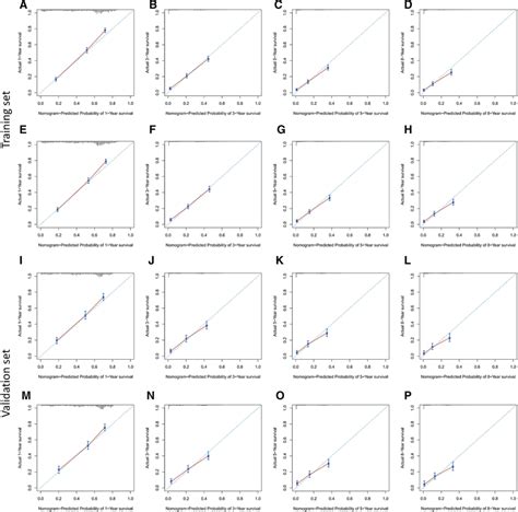 Calibration Plots For Predicting Os And Css At 1 3 5 And 8 Year