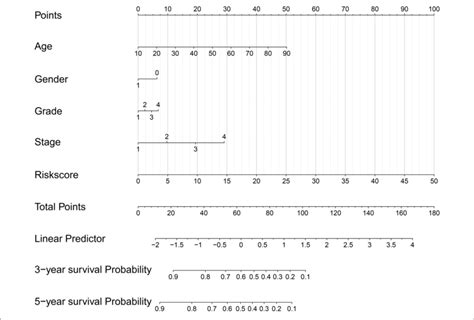 A Nomogram Model Including Age Gender Grade Tnm Stage And Risk