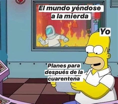 Humor Tico 10 El Mundo Yéndose A La Mierda Yo Planes Facebook