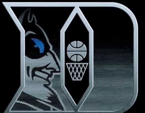 Image result for Code Blue Devil