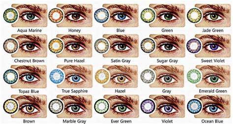 Image result for Eye Color Examples