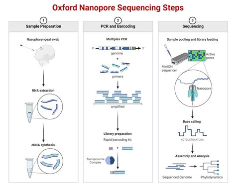 Image result for Parallel Sequencing