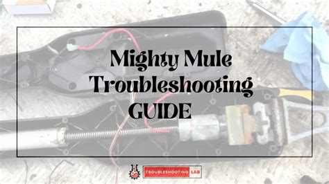 Image result for Mighty Mule 360 Problems
