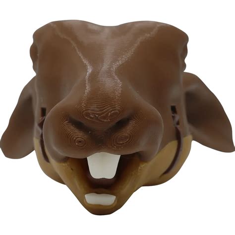 Image result for Rabbit Intubation