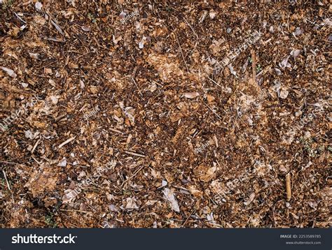 Image result for Humus Fertilizer