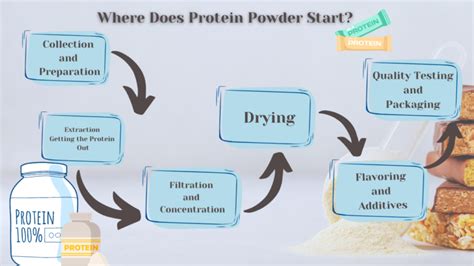 Image result for Protein Powder Making Process
