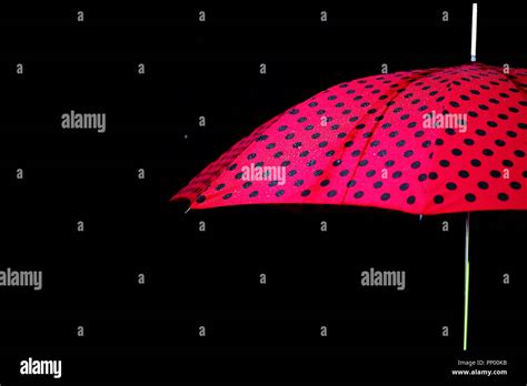 Image result for How to Use Umbrella Drop Net
