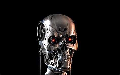 Image result for Terminator Pics