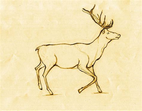 Image result for Hand Drawn Animation