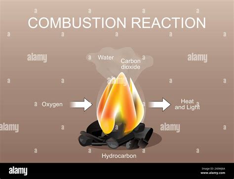 Image result for Example of External Combustion