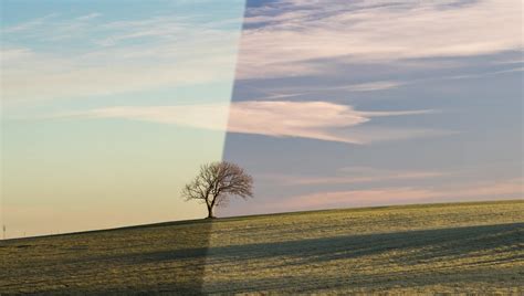 Image result for Polarizing Filter Example