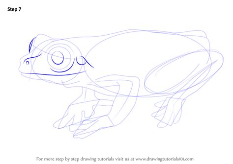 Image result for How to Draw a Tree Frog