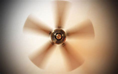 Image result for Ceiling Fan Scraping Sound