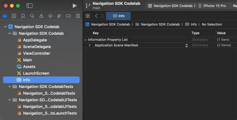 Image result for iOS Navigation App