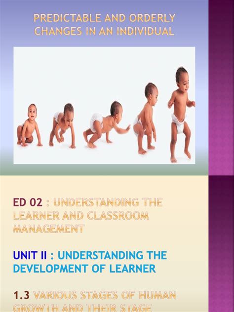 Stages of Development | PDF | Developmental Psychology | Educational ...