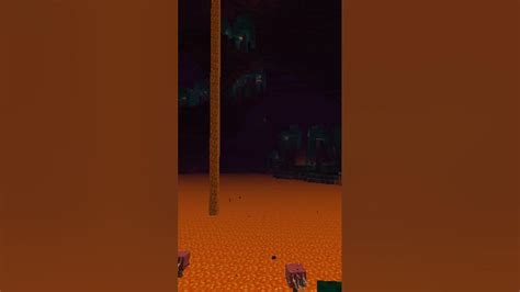 Image result for Nether Update Song