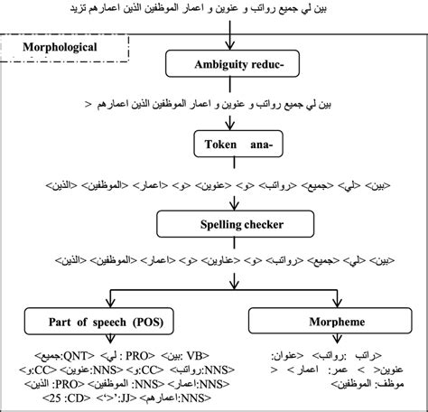 Image result for Examples of Morphological Analysis