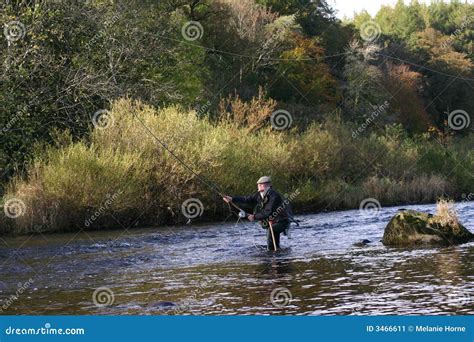 Image result for Fly Fish Cast