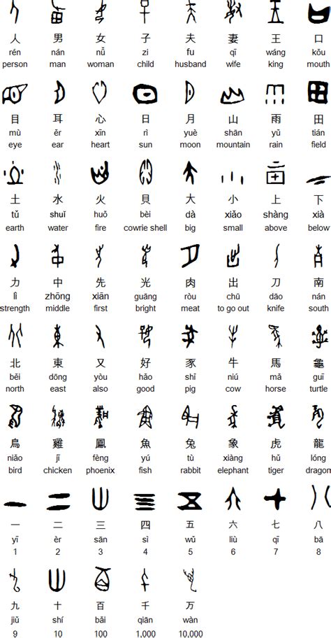 Image result for Oracle Bone Script to Modern Chinese Evolution