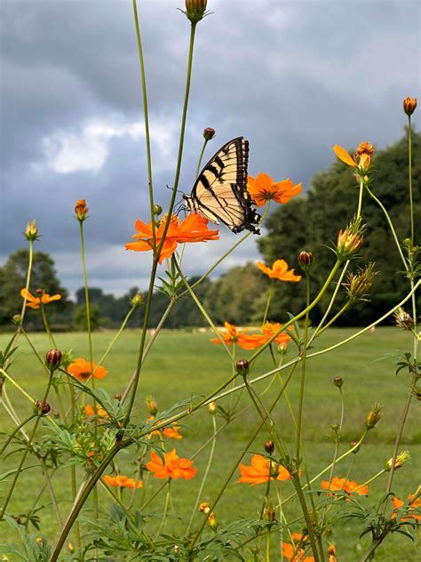 Image result for Farm Stewardship Program