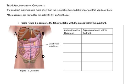 Image result for Quadrant System