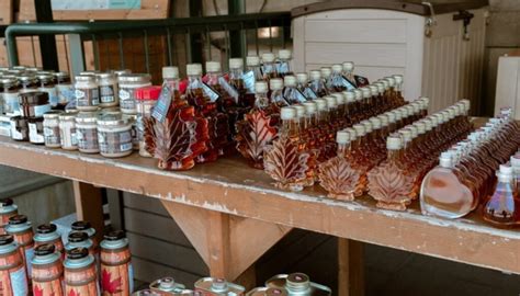 Image result for Quebec Maple Syrup Producers Quebec Maple Syrup Production