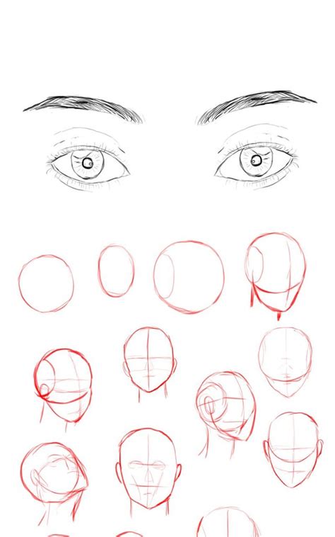 Image result for Sketch Tutorial Head