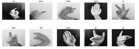 Image result for Lebanese Sign Language
