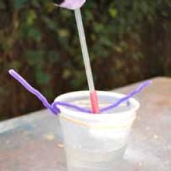 Image result for Cup Floating Over Cake