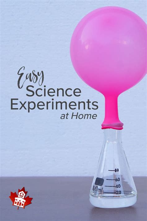 Image result for Examples of Scientific Experiments