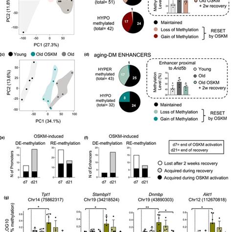 Image result for Partial Reprogramming