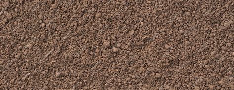 Image result for Planting in Humus