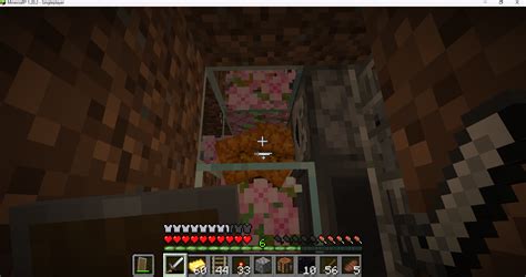 Image result for Mob Caps Minecraft Java
