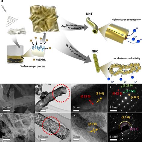 Image result for Morphological Synthesis Example