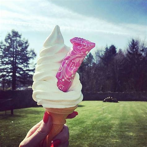 Image result for Absorbency Meaning