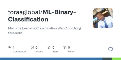 Image result for Binary Classification Machine Learning Algorithm Flow Diagram
