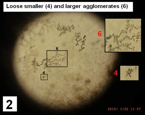 Image result for Microscope Crystal Compemnsator