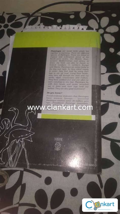 Image result for Class 12 English Lessons