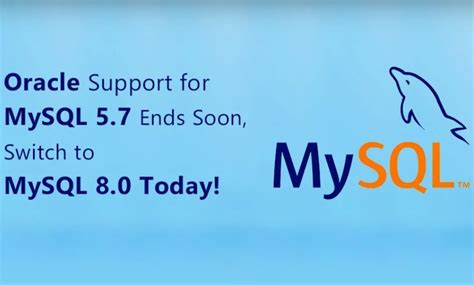 Image result for MySQL Support