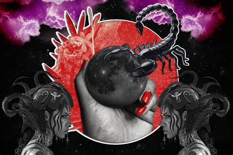 Image result for Java Eclipse 2025