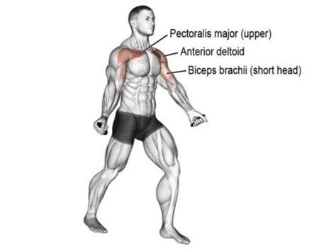 Image result for Standing Chest Fly Exercise
